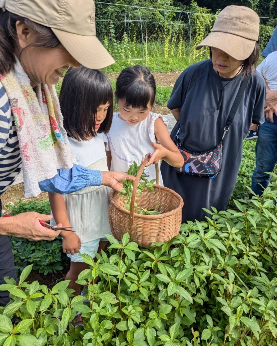 五島福江島 オーガニック農泊体験｜養蜂場＆蜜蝋ラップ付き3日間プラン